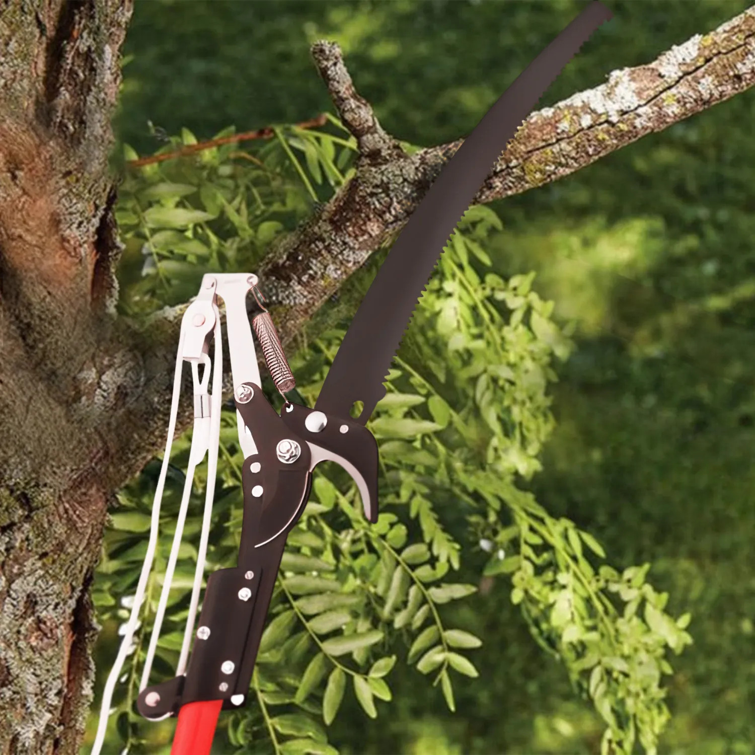 telescoping pole tree pruner