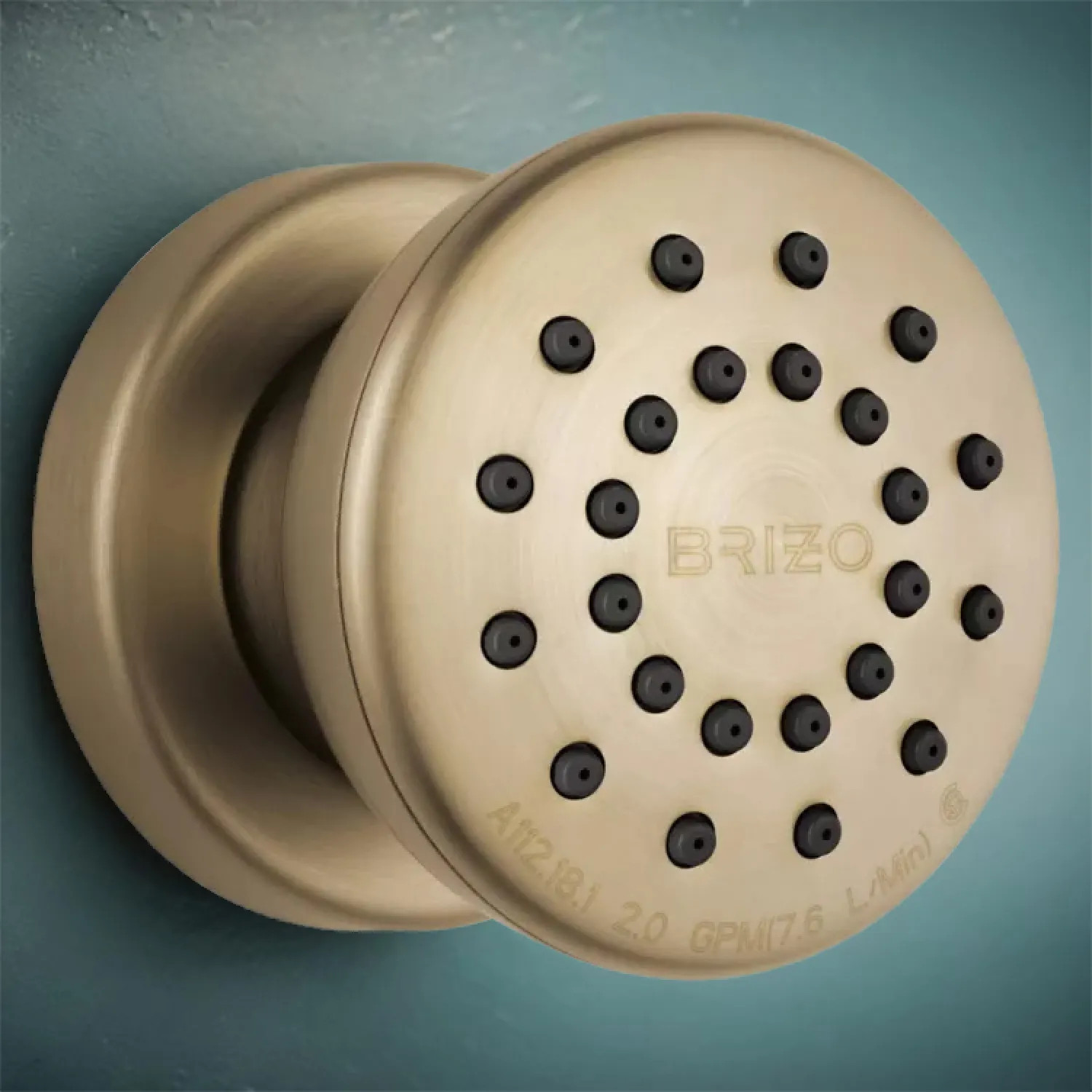 Brizo Essential Round Body Spray with Touch-Clean Finish Spray Face, 1. ...