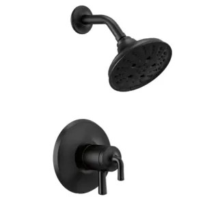 Delta Kayra Monitor 17 Series Two-Handle H2Okinetic Shower Faucet with ...