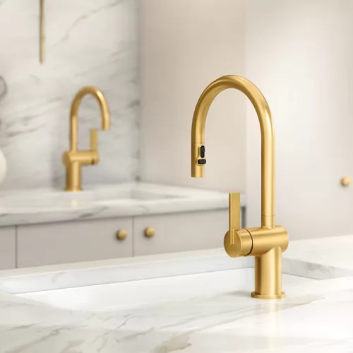 Moen Cia Single-Handle High Arc Pull-Down Kitchen Faucet, Brushed Gold ...